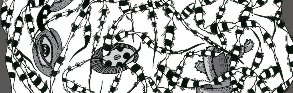 SPIDERS_Ghada Khalifa_temporary crop - adda